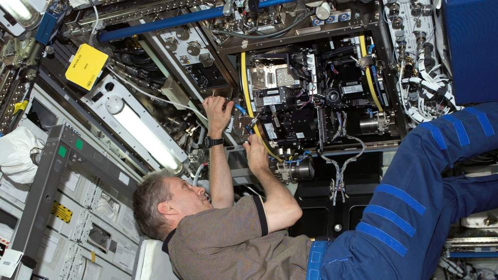 Bean Me Up: Scientists To Grow Crops In Space | World News | Sky News