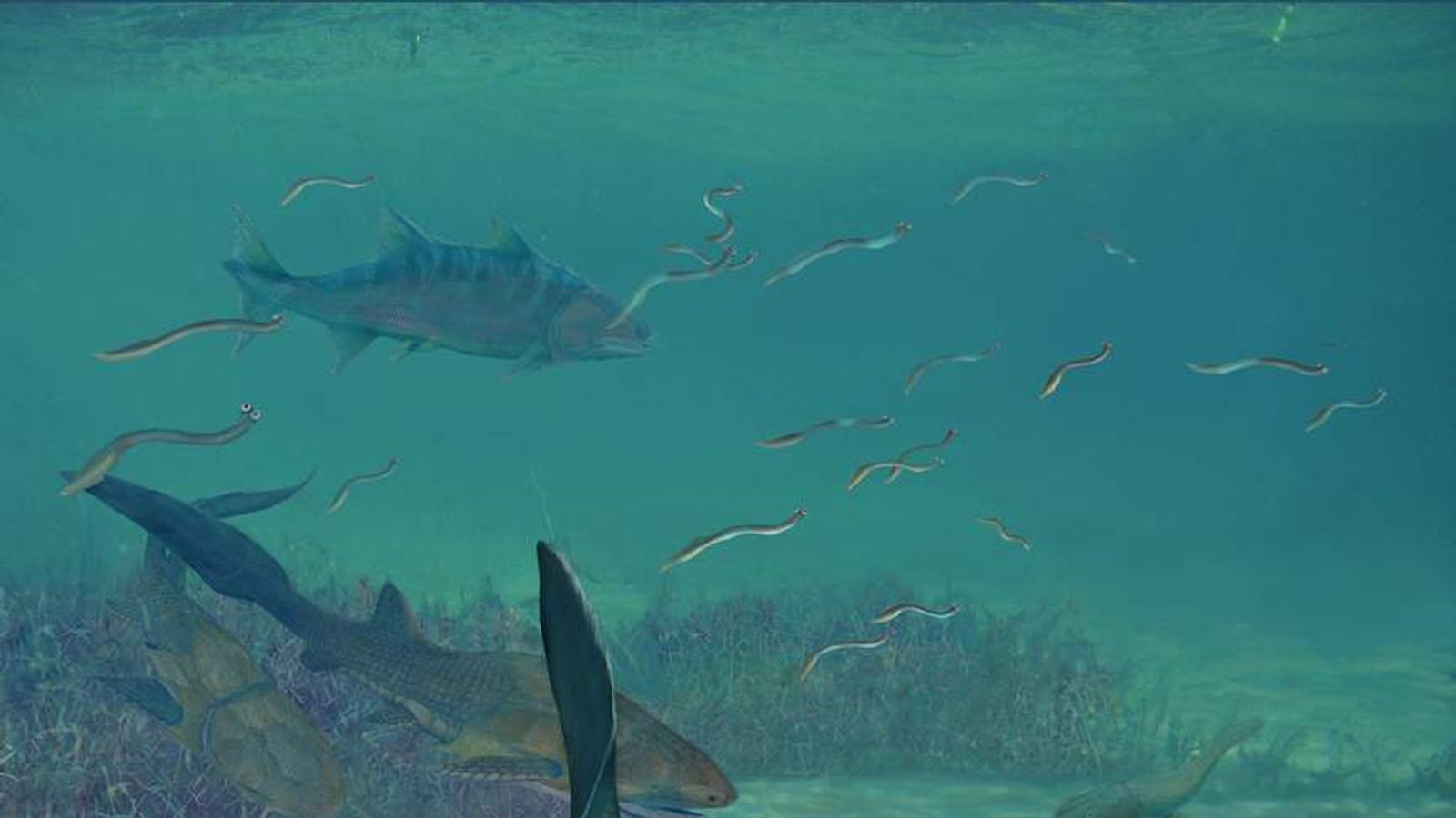 Fossil Fish Face Find Stuns Scientists | World News | Sky News