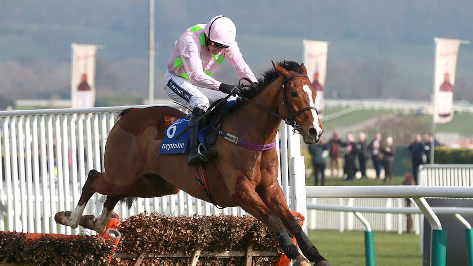 Neptune Triumph For Faugheen | Scoop News | Sky News