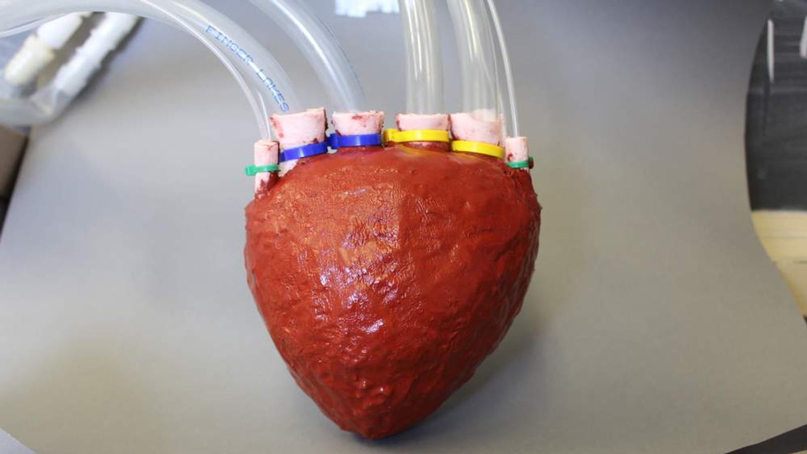 Foam Hearts 'Could Be Used In Human Bodies' | Science, Climate & Tech ...