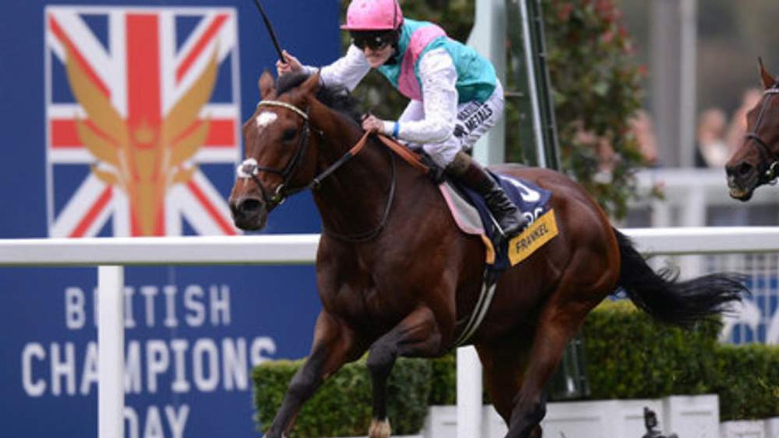 Frankel's First Foal Sells for £1.15m | Scoop News | Sky News