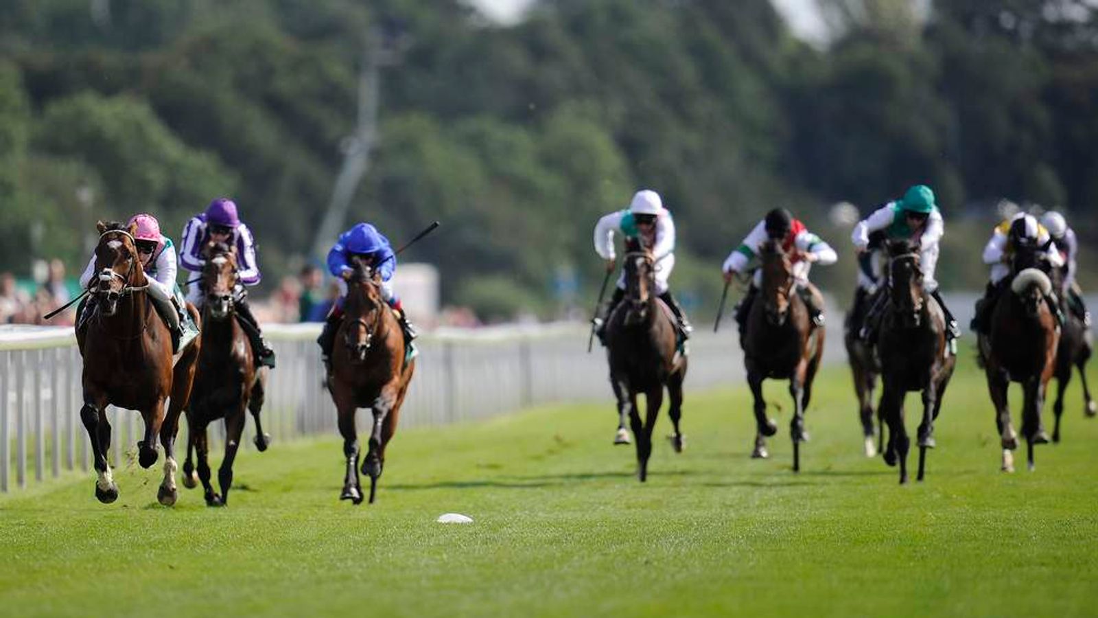 Frankel Extends Unbeaten Run | Scoop News | Sky News