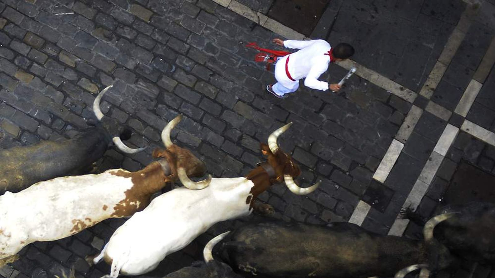 Tourist Gored To Death At Bull Running | World News | Sky News