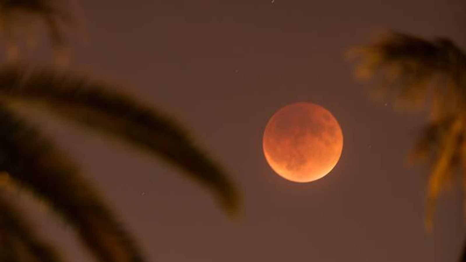 Blood Red Supermoon Eclipse Wows Skywatchers | World News | Sky News