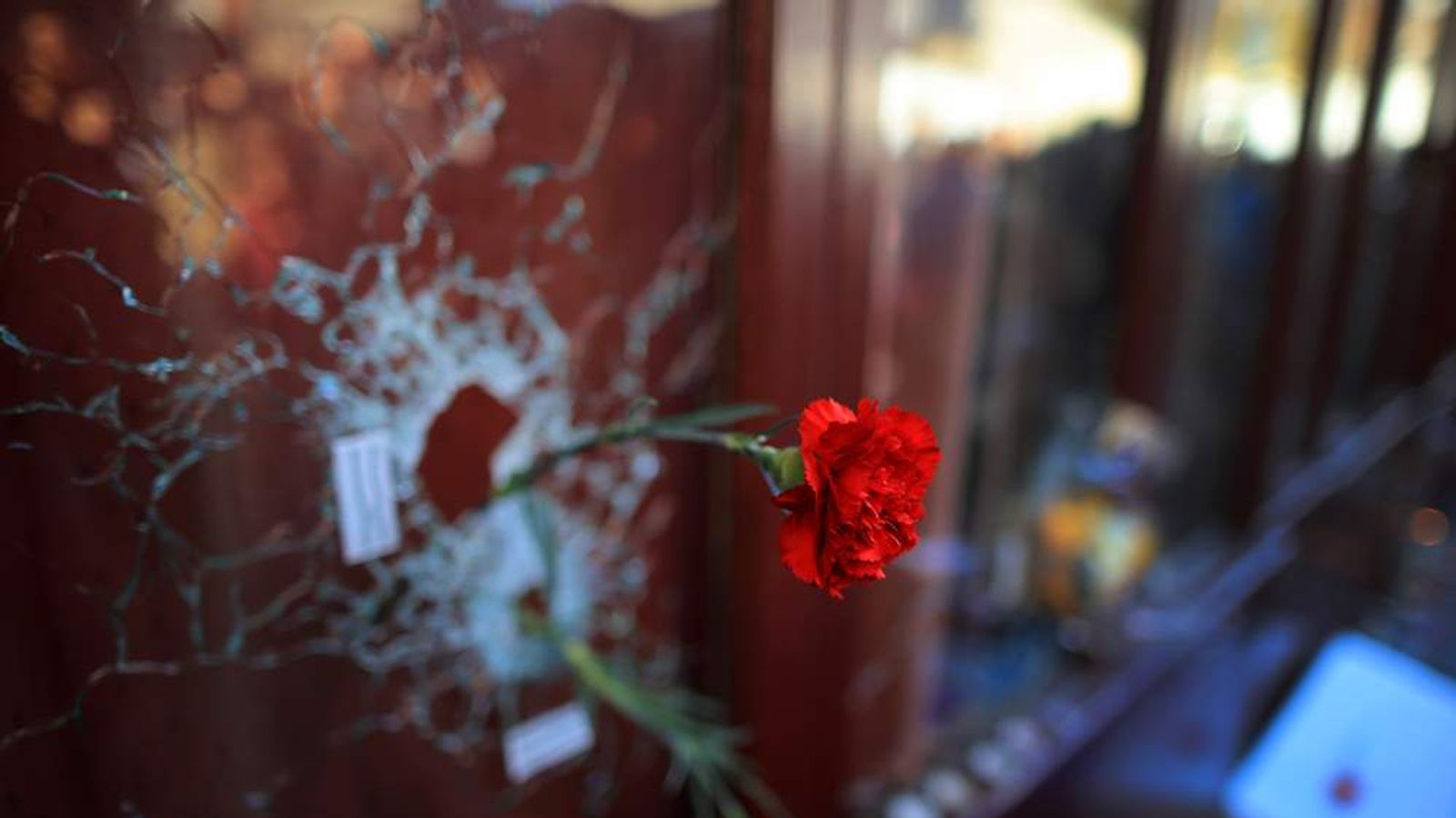 Paris Terror: Attacker 'Used Fake Passport' | World News | Sky News