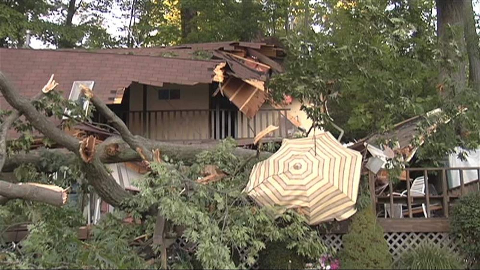Neighbours Save Man Trapped By Falling Tree | US News | Sky News