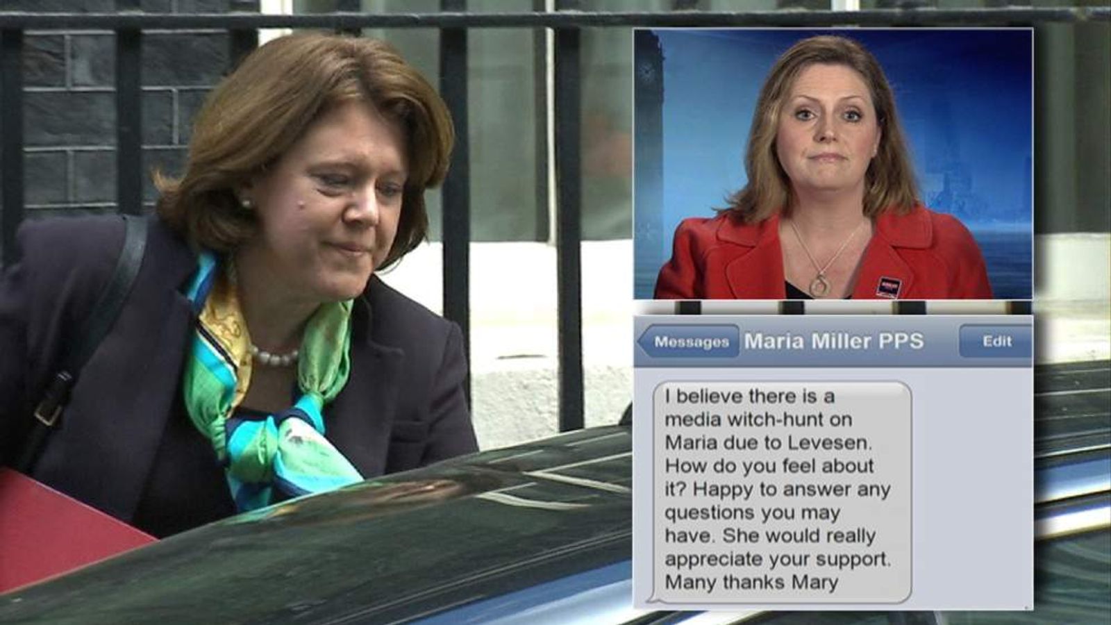 Miller Aide Defends 'Witch-Hunt' Text To MPs | UK News | Sky News