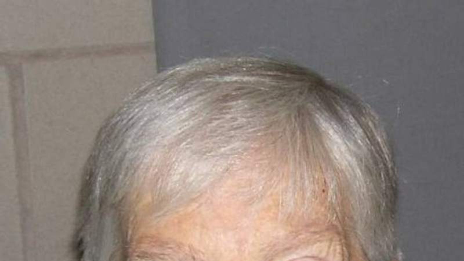 Nun, 83, Guilty Of Vandalism At Nuclear Site | US News | Sky News