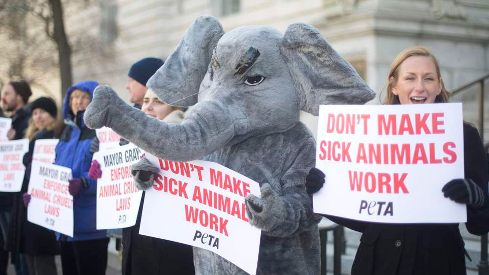 Top American Circus To Stop Elephant Acts | US News | Sky News