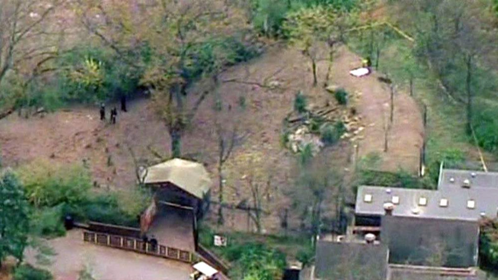 Zoo Mauling: Boy's Mother Won't Face Charges | US News | Sky News