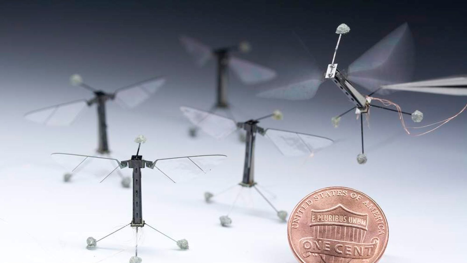 RoboBee: Artificial Insect Makes Flight | Science, Climate & Tech News ...