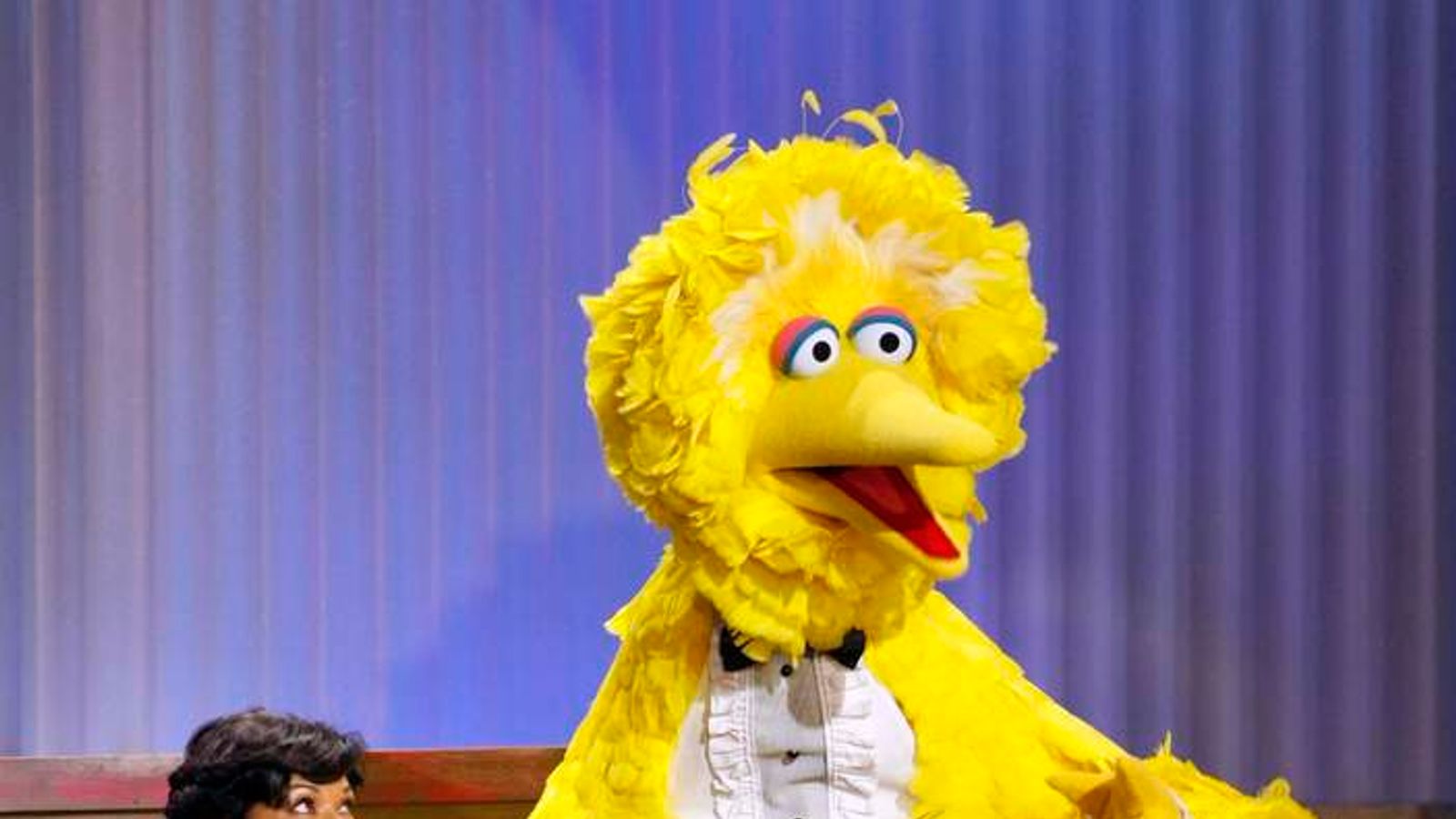 Million Puppet March To Defend Big Bird | US News | Sky News