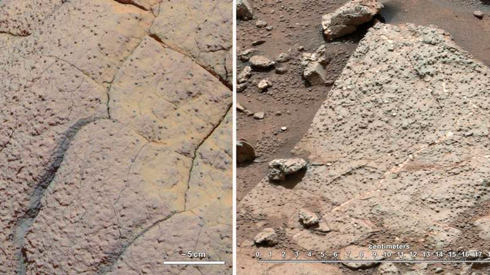 Nasa Rock Shows Mars Life Could Have Existed Science And Tech News