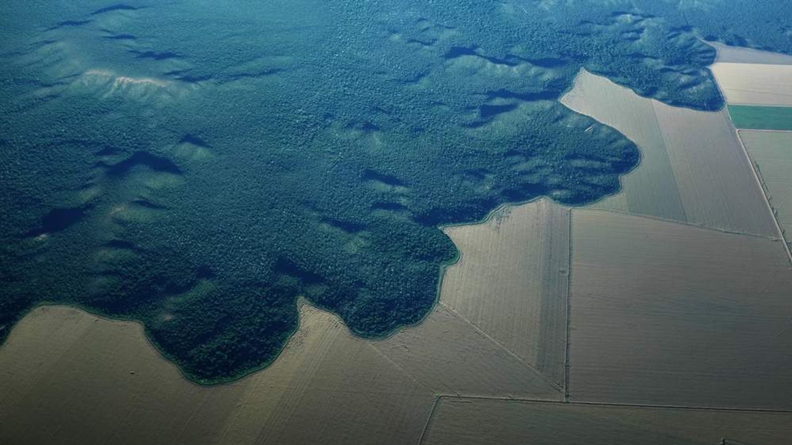 Amazon Forest The Size Of Devon Axed In A Year | World News | Sky News