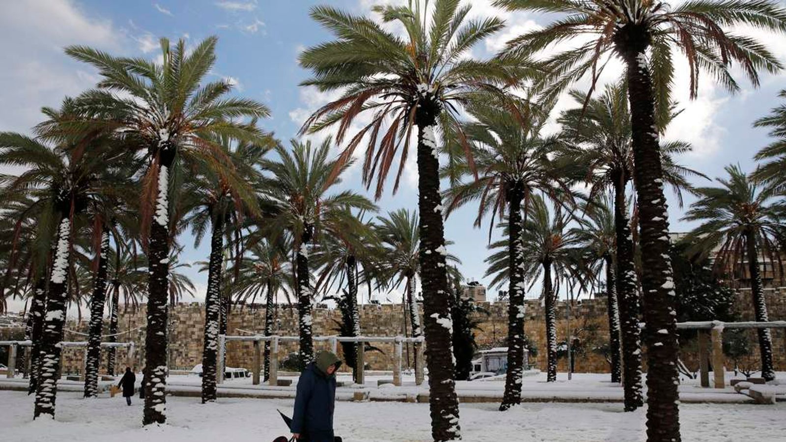 Egypt Sees First Snow Storm In Years | World News | Sky News