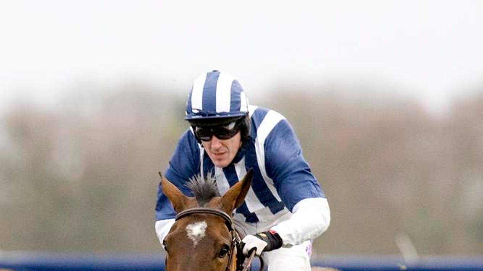 Grand National Winner Of 2014 On Aintree Course Ahead Of Competition ...