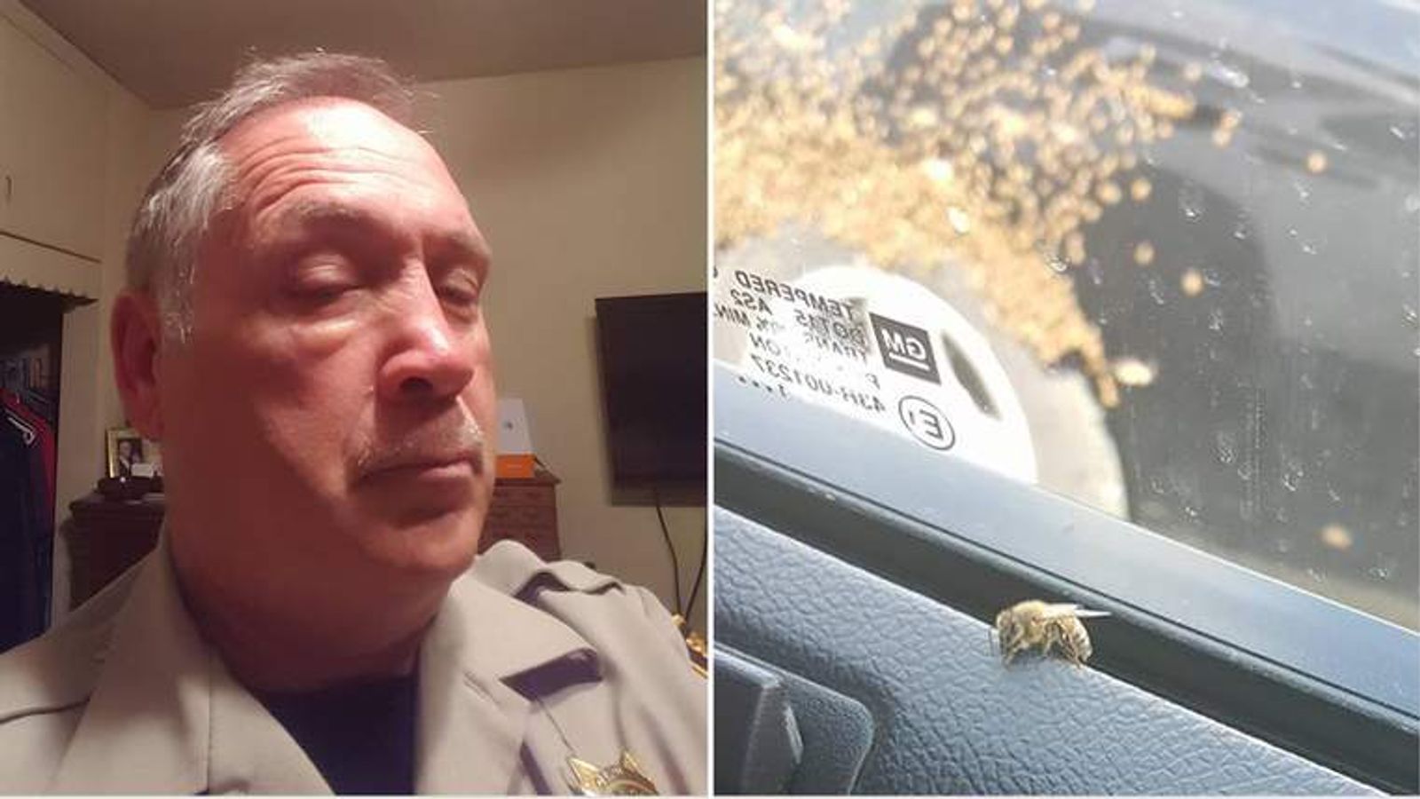 Oklahoma Deputy Trapped As Insects Engulf Cruiser | Scoop News | Sky News