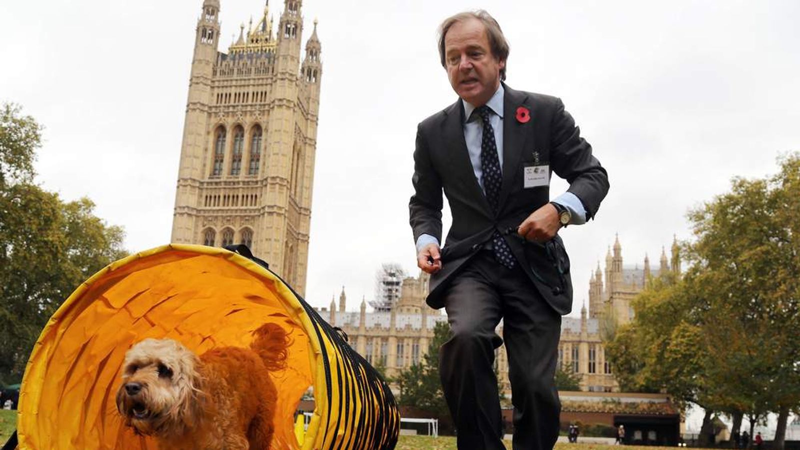 MPs And Their Dogs At Westminster Dog Of The Year | Scoop News | Sky News