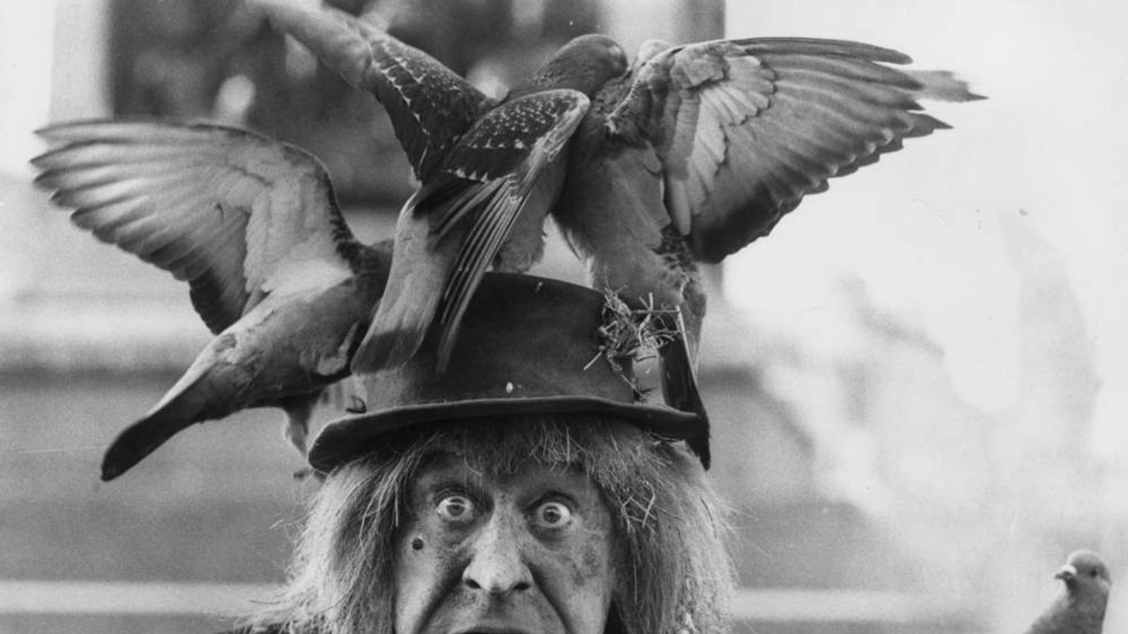 Graduate Gets Work As A Human Scarecrow | UK News | Sky News