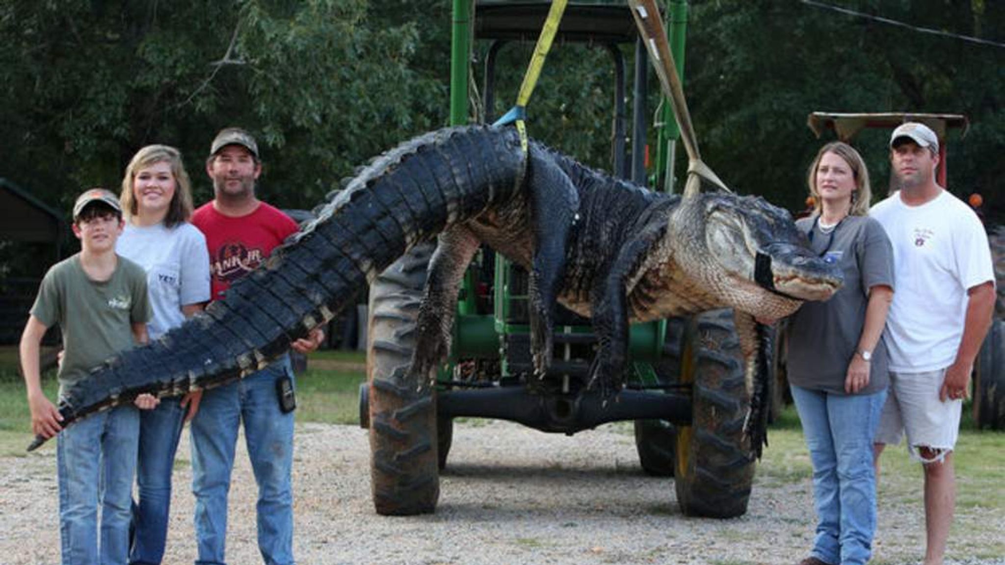 Monster Alligator Caught By Family In Alabama | US News | Sky News