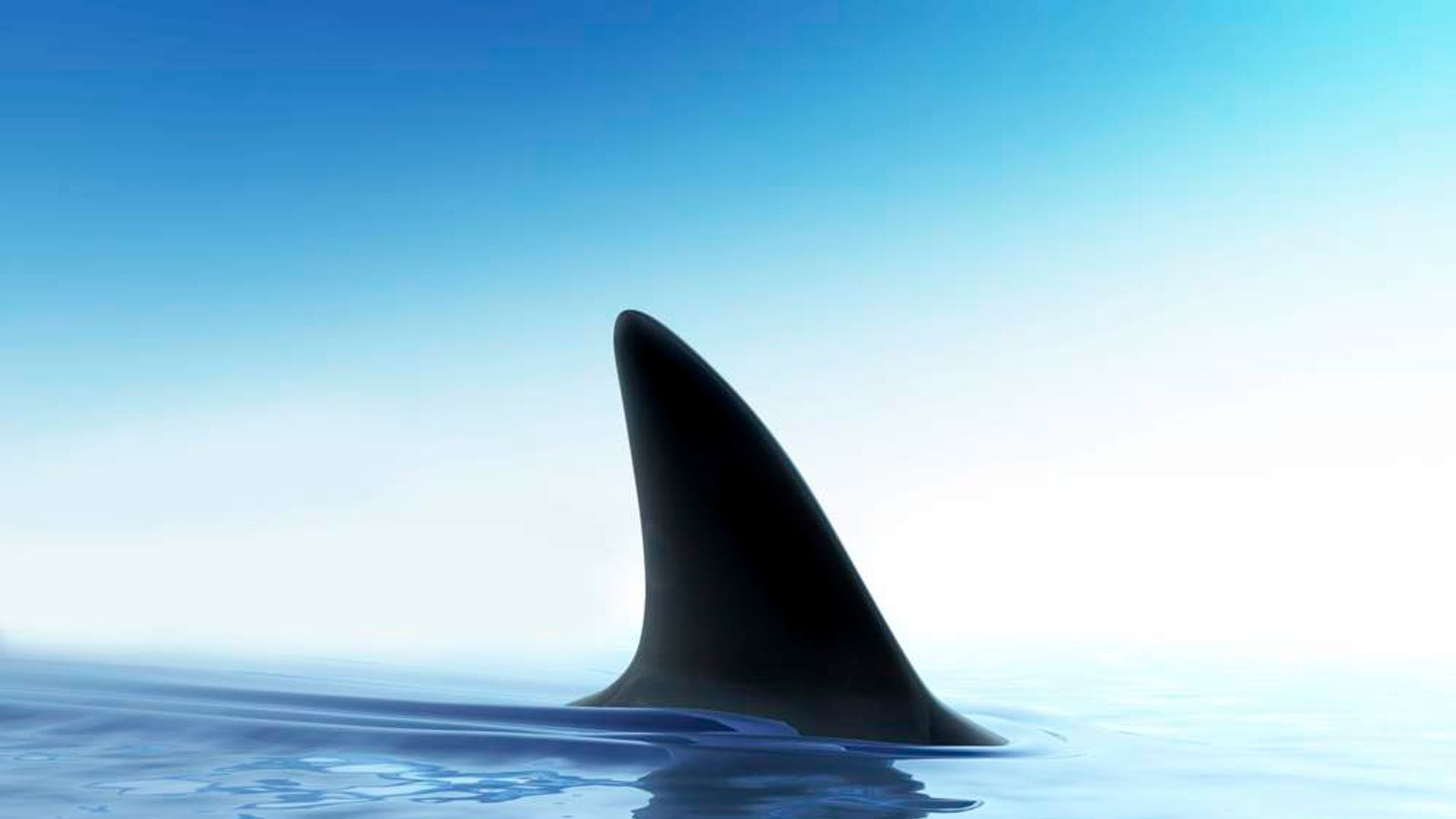 Shark 'Rescues' Man Lost At Sea For 15 Weeks | World News | Sky News