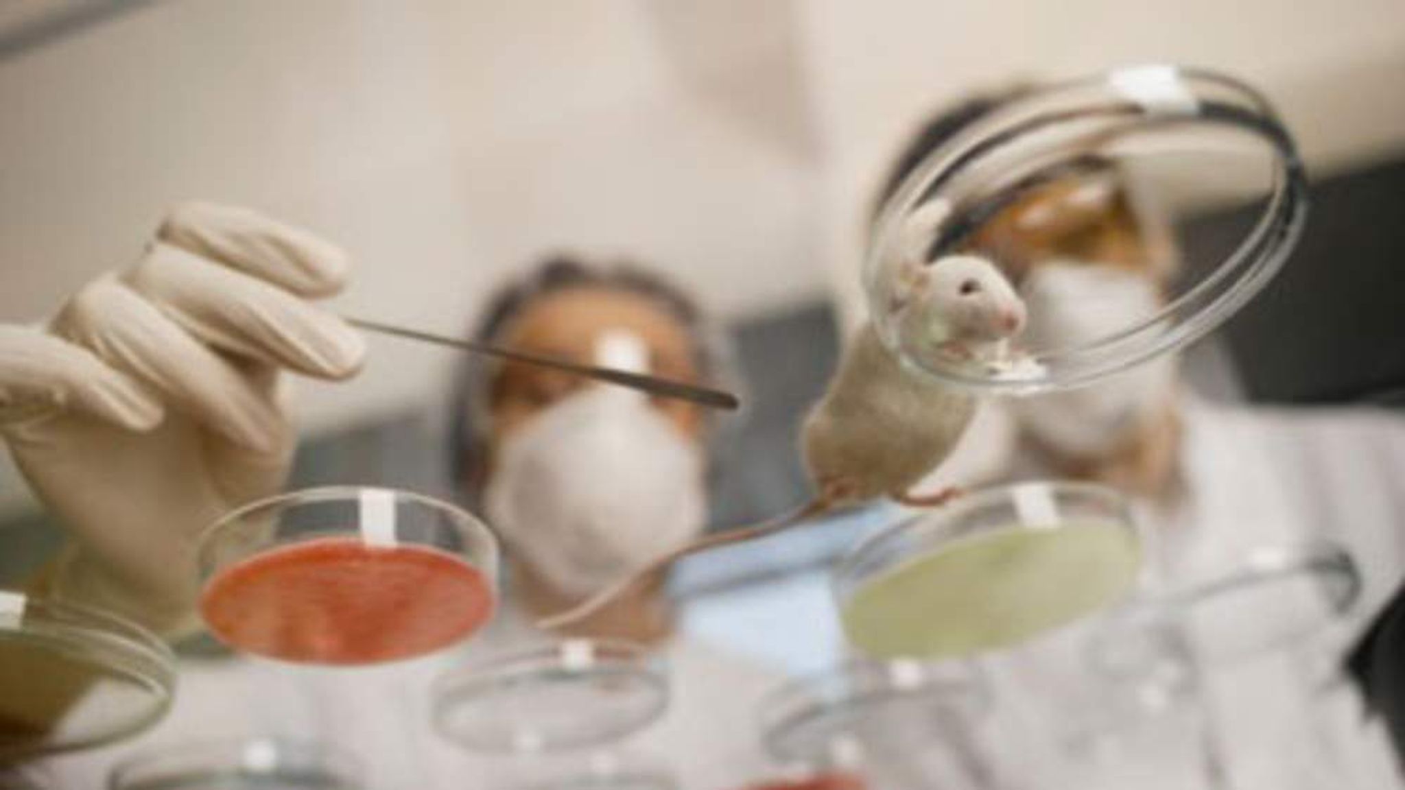 Baldness Cure Nearer As Hair Grown In A Lab | UK News | Sky News