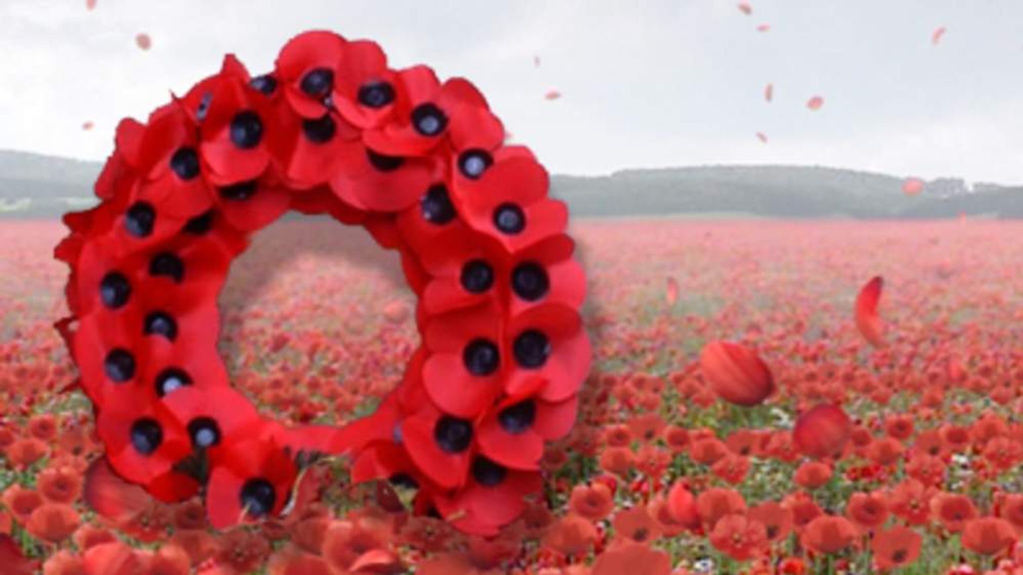 Burning Poppy Photo: Man Questioned By Police | UK News | Sky News
