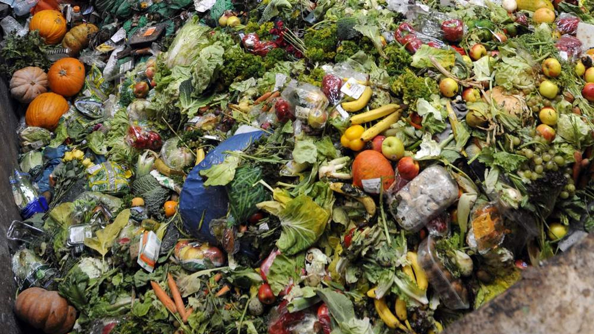 Biowaste To Power New Microsoft Centre | Science, Climate & Tech News ...