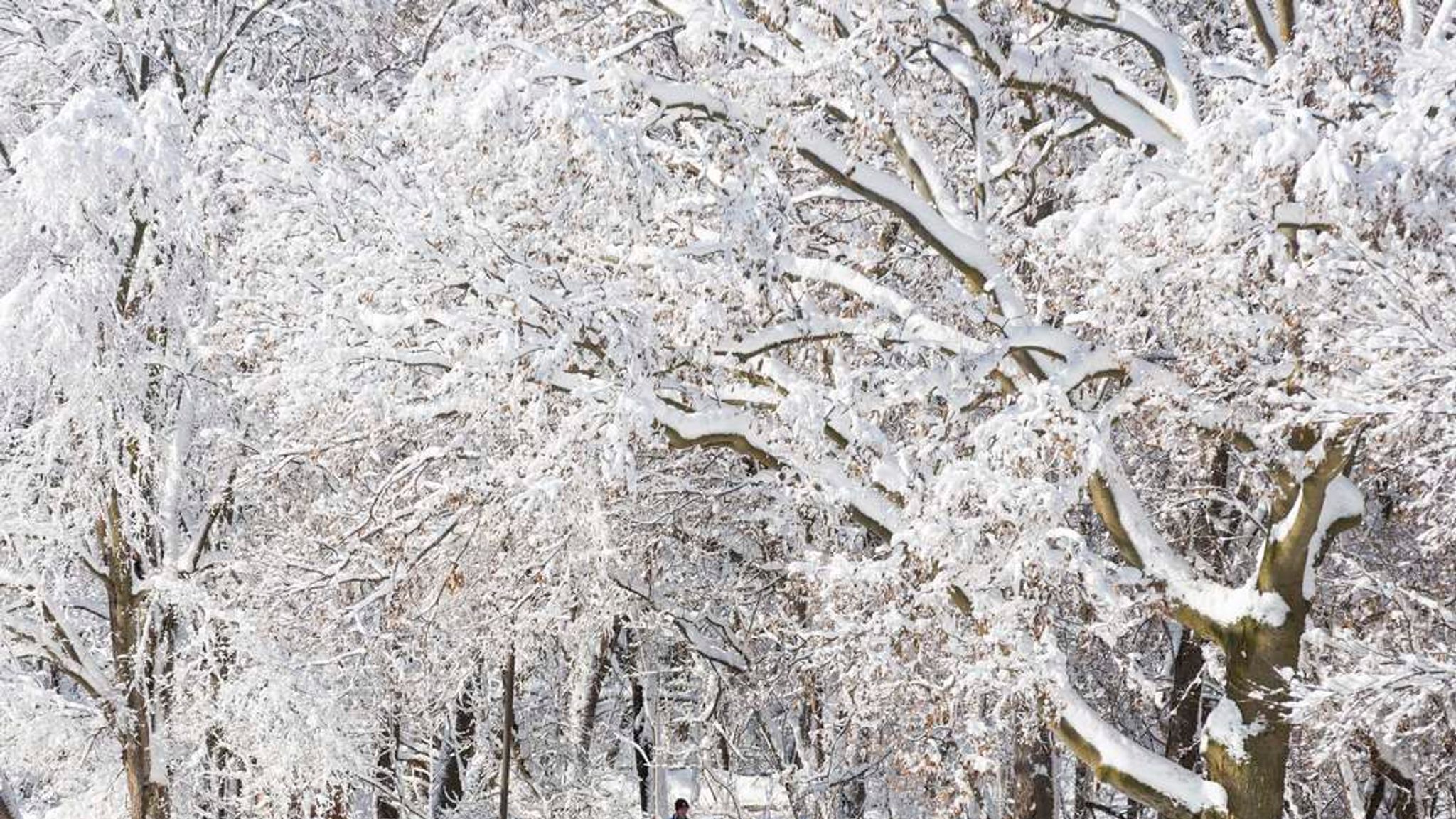 US Christmas Weather: Snow And Thunderstorms | US News | Sky News