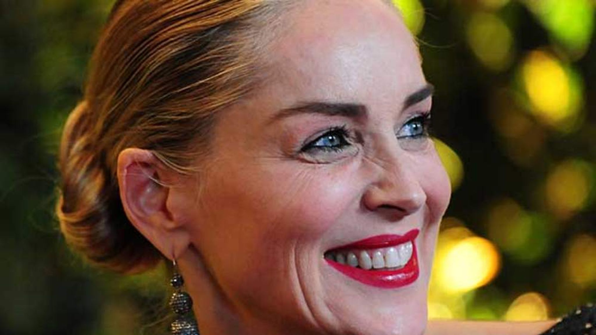 Sharon Stone Flies Flag For Troops On Facebook | Ents & Arts News | Sky ...