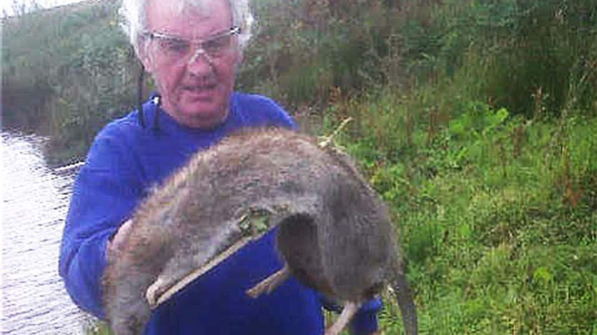 Mutant Rats: Catchers Call For Stronger Poison | UK News | Sky News