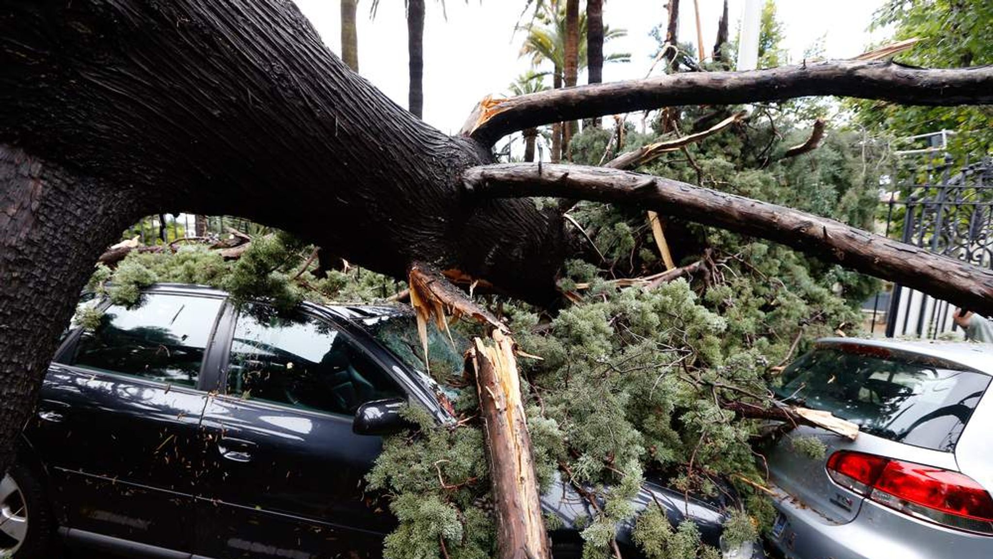 France Hit By Deadly Thunderstorms In South | World News | Sky News