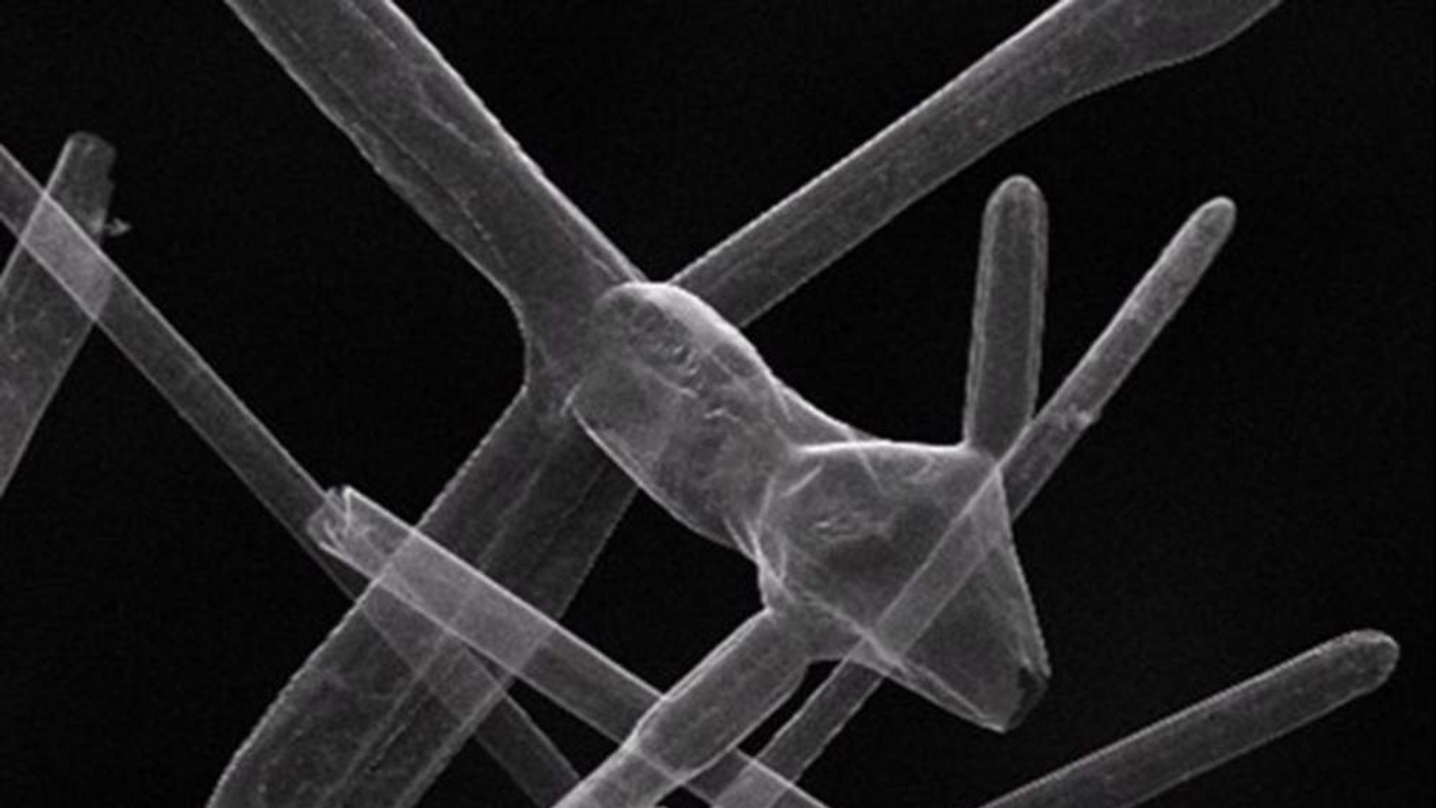 World's 'Lightest Material' Has Been Created | Science, Climate & Tech ...