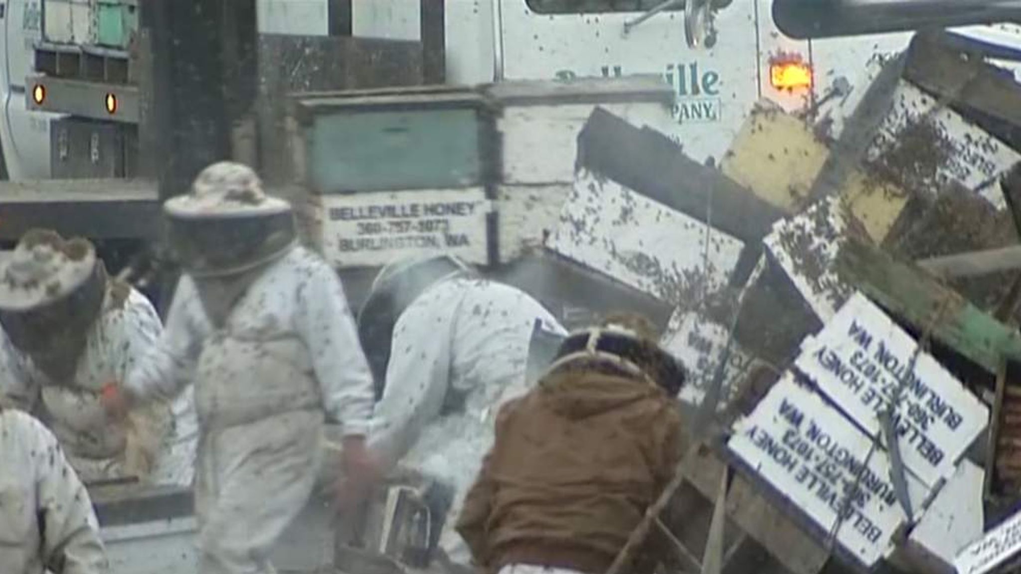 Millions Of Bees Unleashed As Lorry Crashes | US News | Sky News