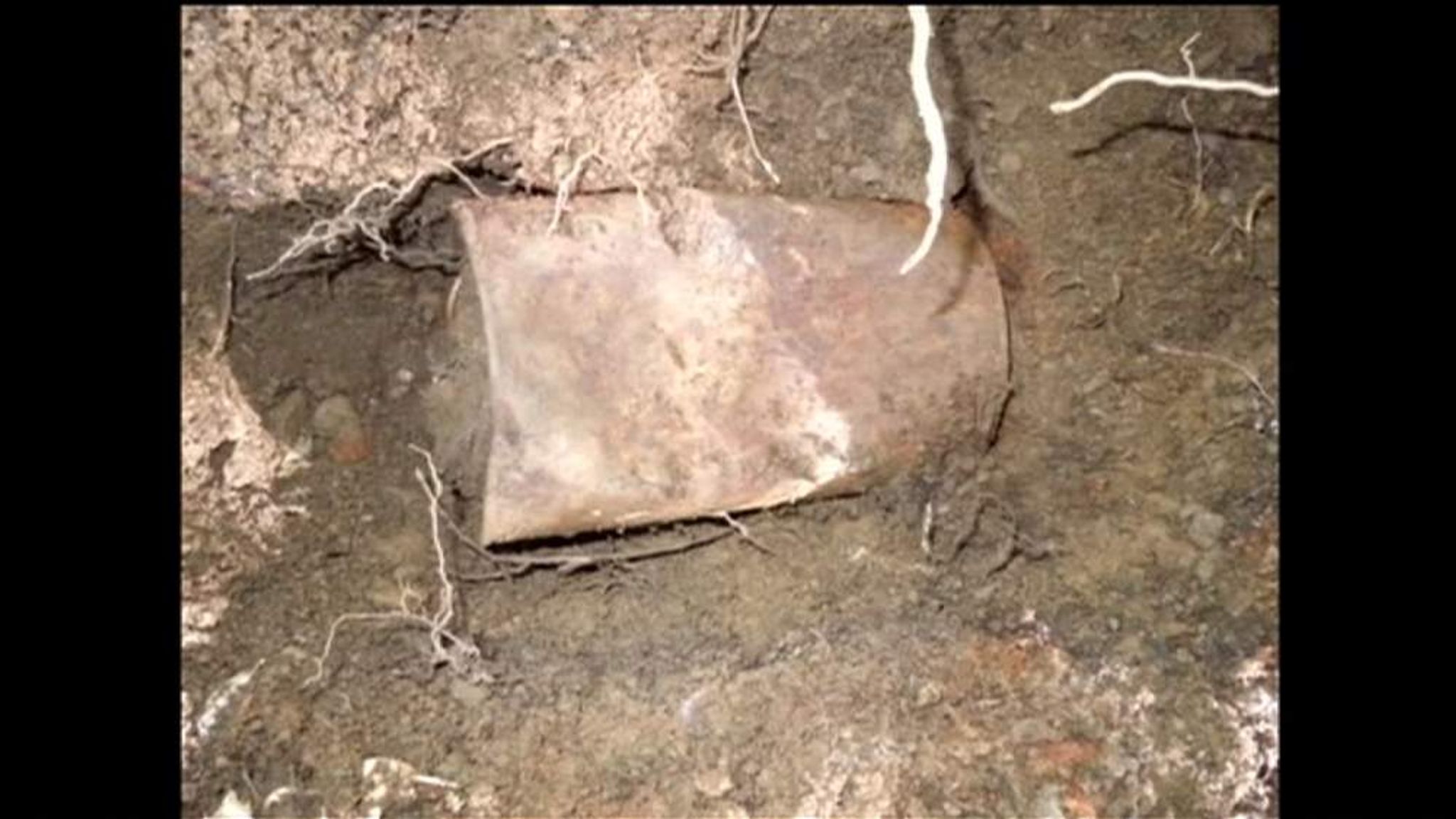 Gold Coins Found In Couple's Backyard On Sale | US News | Sky News
