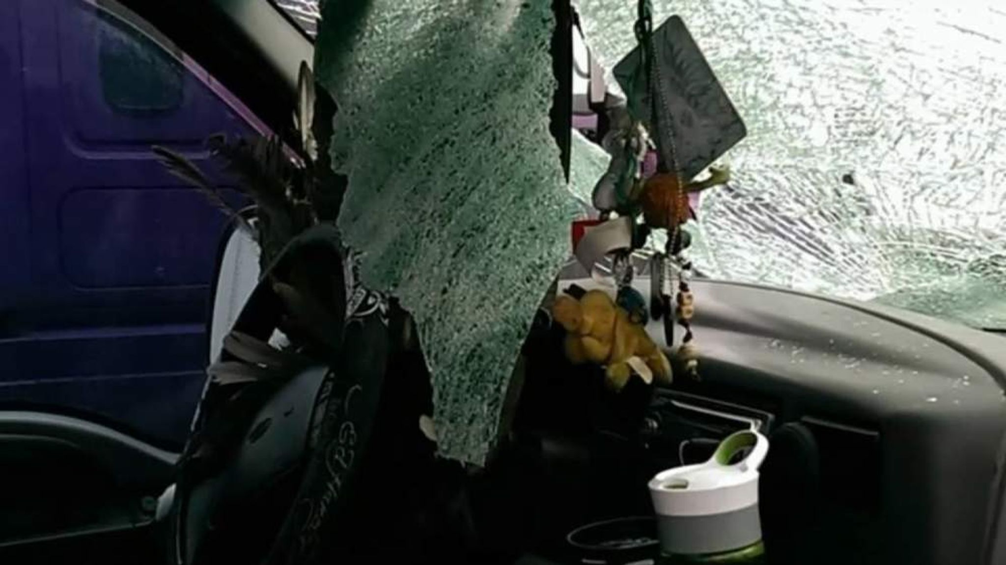 Goose Crashes Through Driver's Windscreen | US News | Sky News
