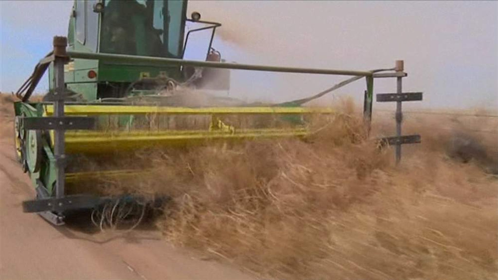 Tumbleweed Trouble In Drought-Hit Colorado | US News | Sky News