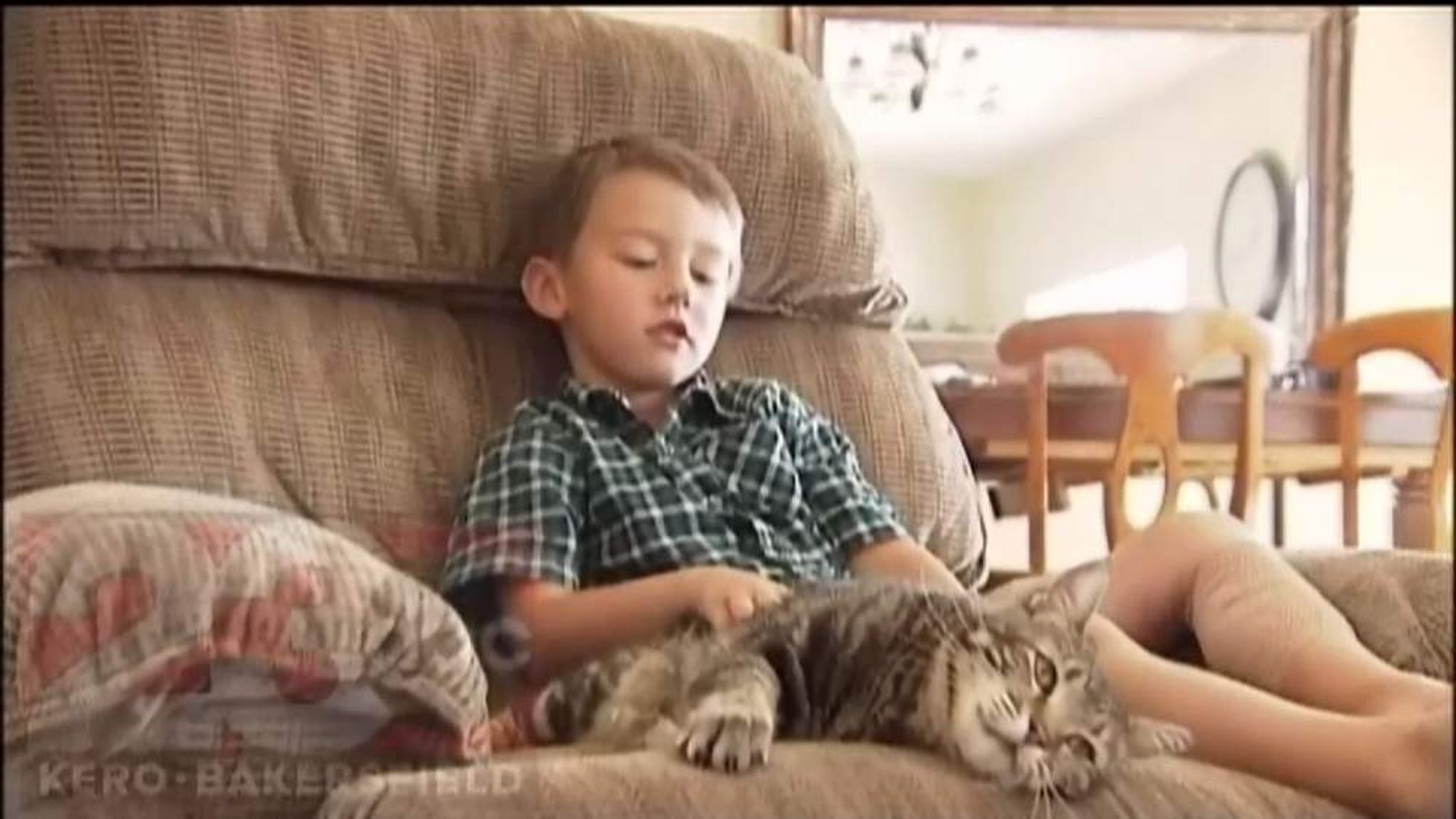 Family Cat Saves Boy From Vicious Dog Attack | US News | Sky News