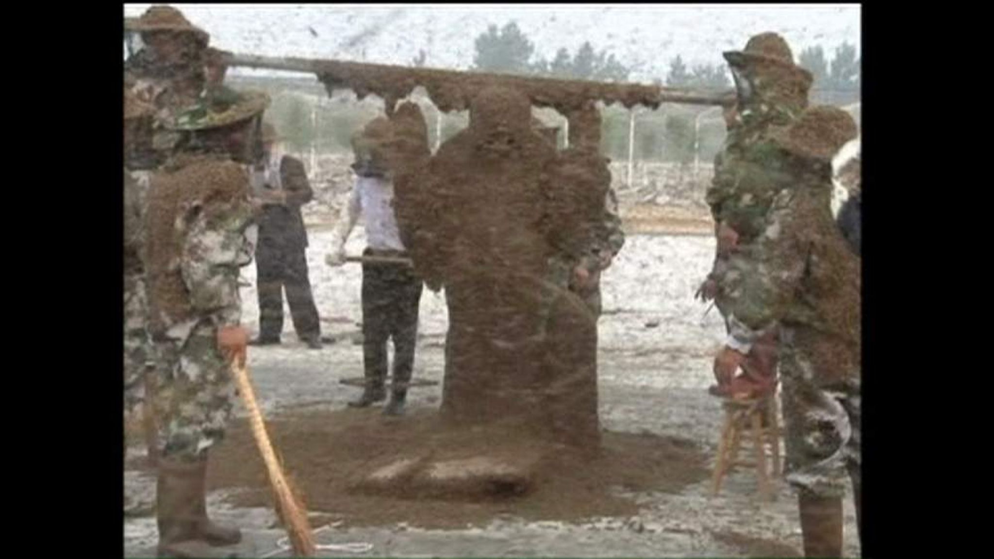 Man Creates Buzz In Record-Breaking 'Bee Suit' | Scoop News | Sky News