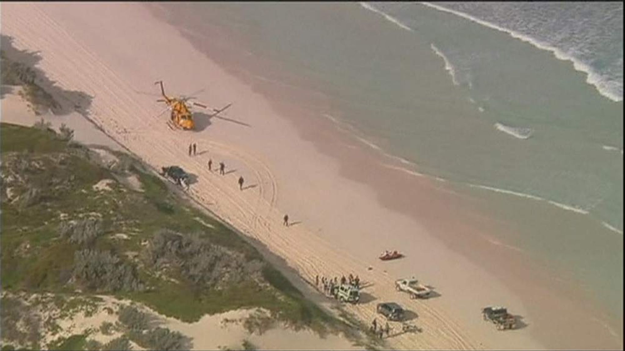 Great White Attack Deaths Spark Call For Cull | World News | Sky News