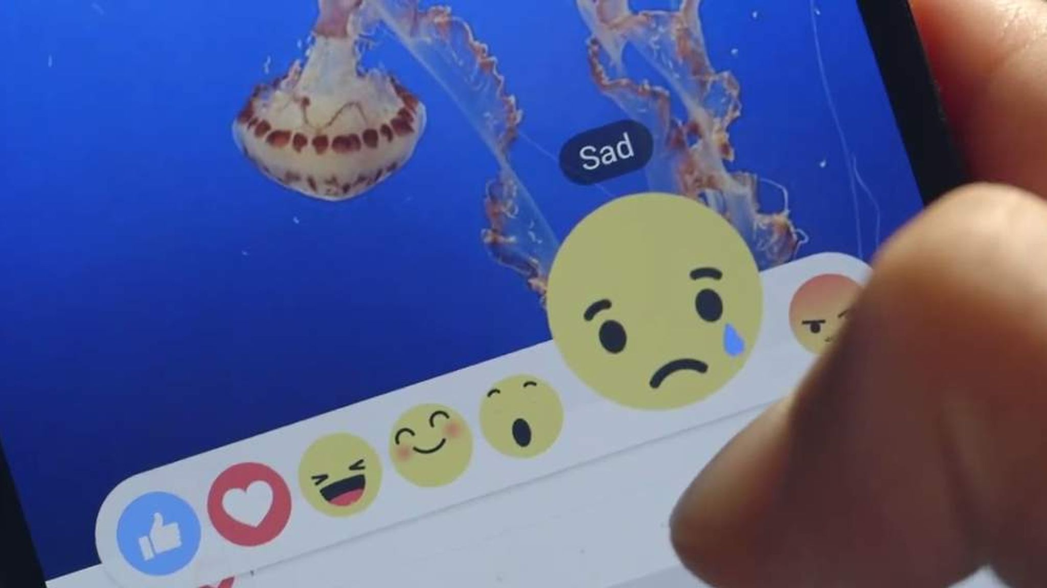 Like It Or Not, Facebook's 'Like' Gets Emotive | Science, Climate ...