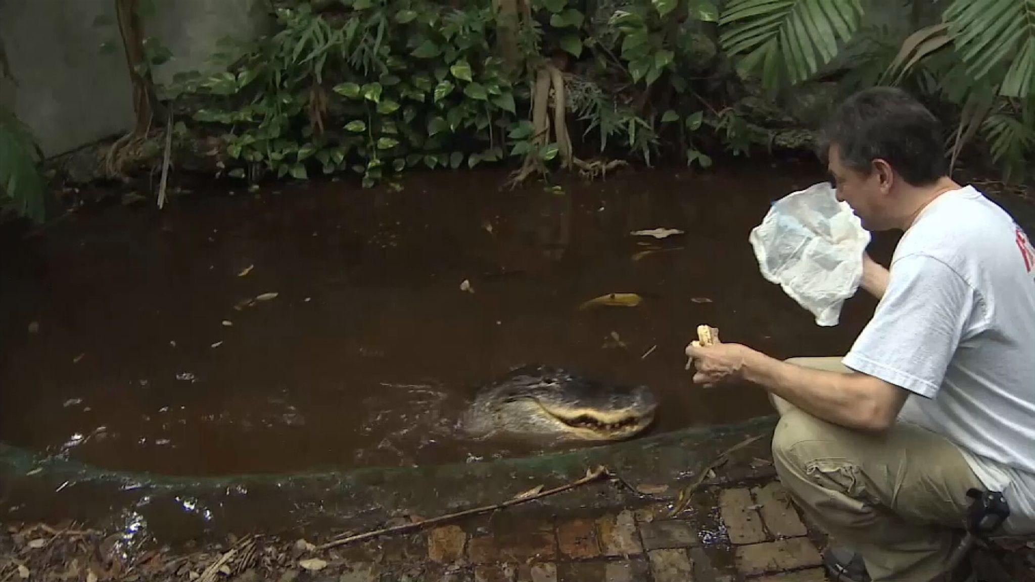 Man Fights To Keep Pizza-Eating Pet Alligator | US News | Sky News