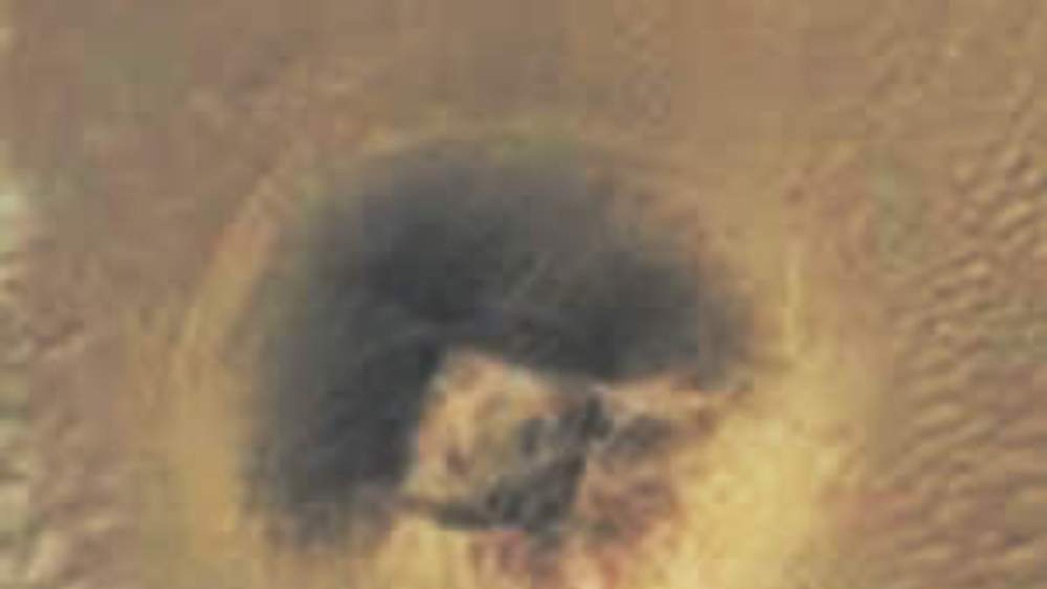 'Two New Pyramids' Found On Google Earth | World News | Sky News