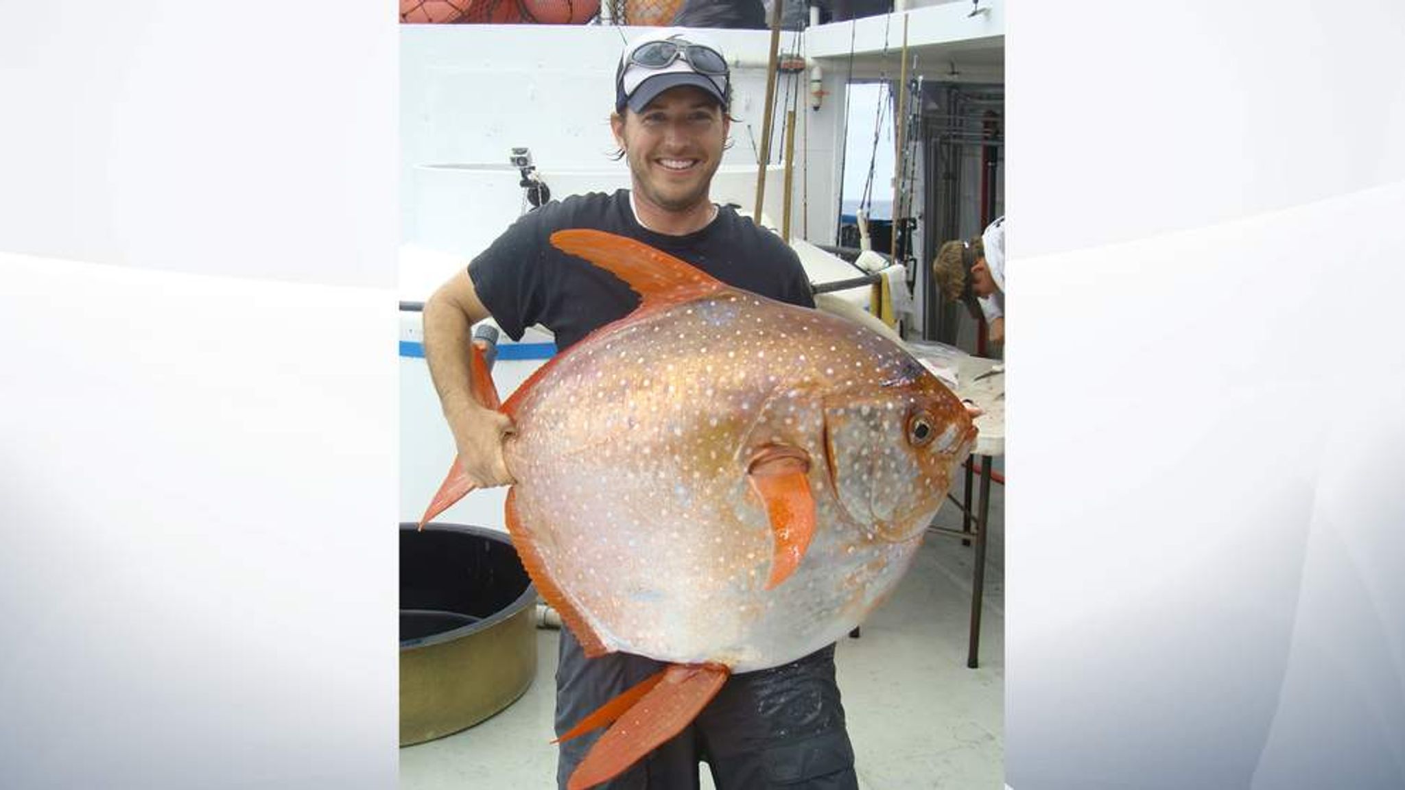 First Warm-Blooded Fish Found Off California | US News | Sky News