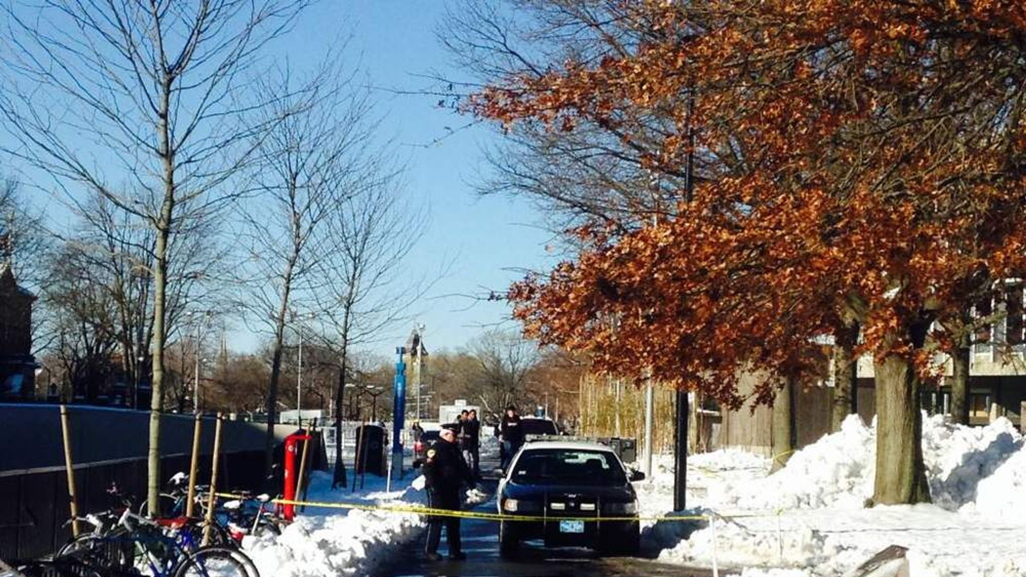 Harvard Student Out On Bond After Bomb Hoax | US News | Sky News