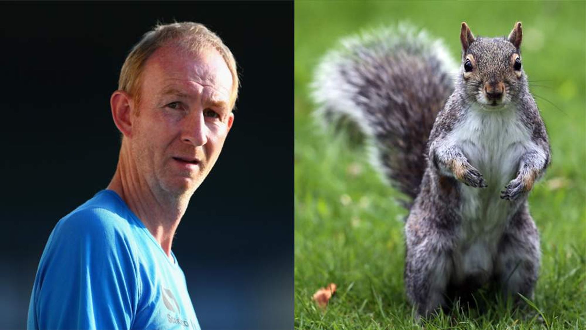 Scunthorpe Fans Ignore Squirrel Taunt Plea | UK News | Sky News