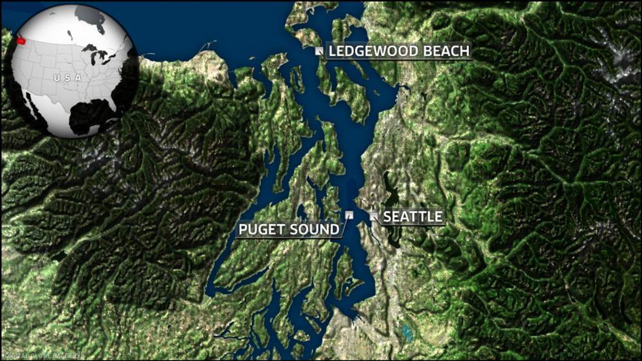 Landslide Destroys Homes On Washington Island | US News | Sky News