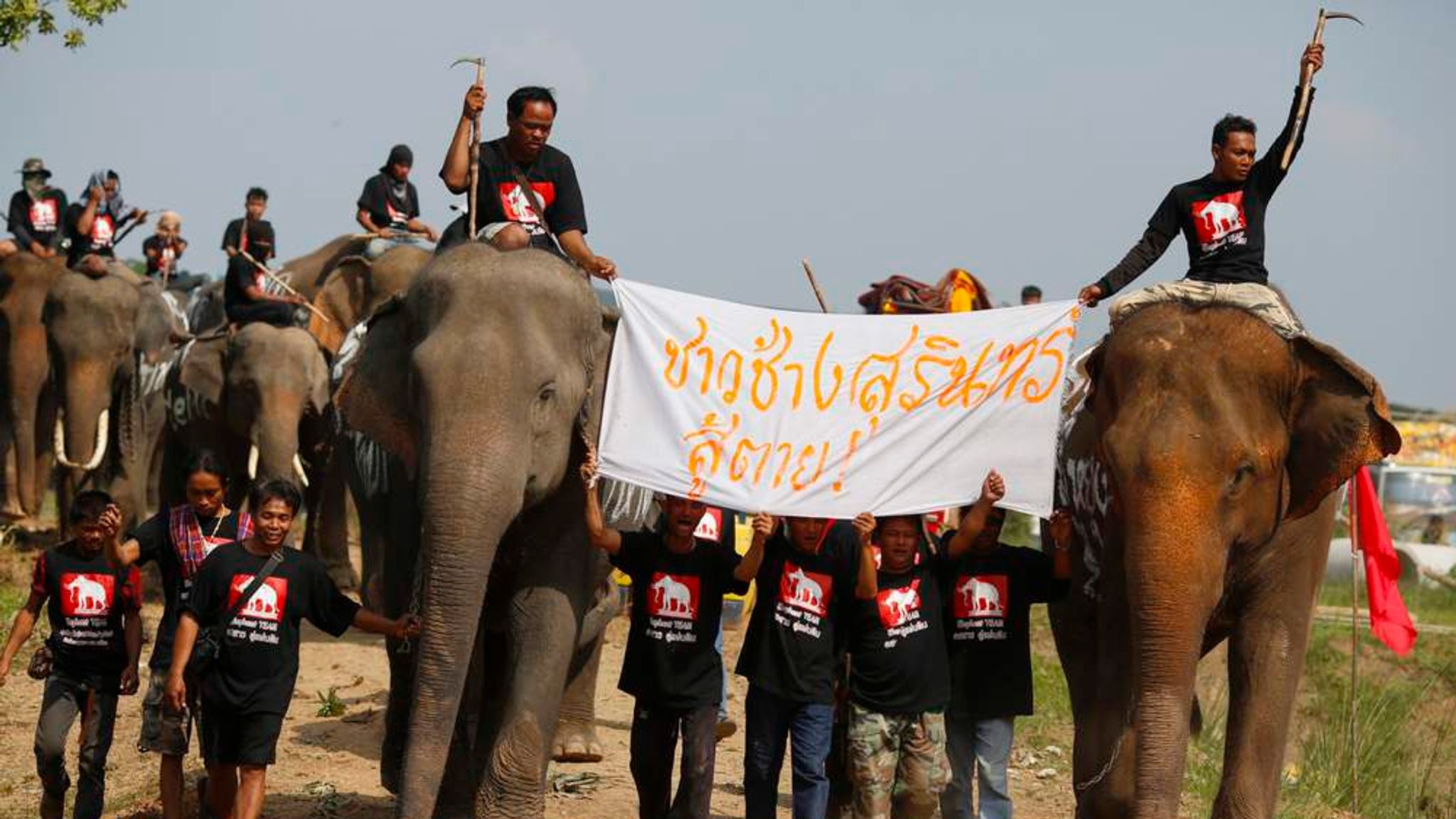 Thailand Protest Over Bid To Protect Elephants | World News | Sky News