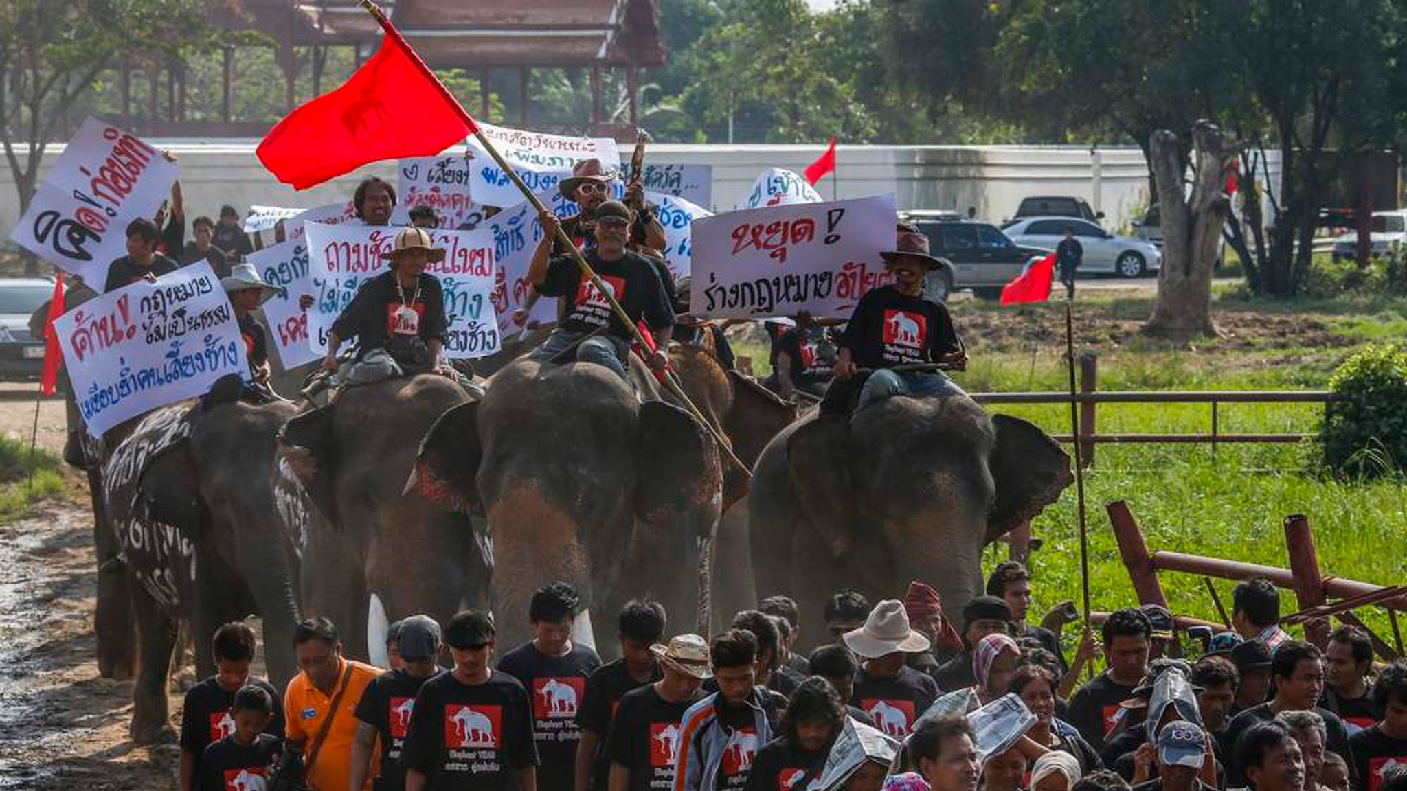 Thailand Protest Over Bid To Protect Elephants | World News | Sky News