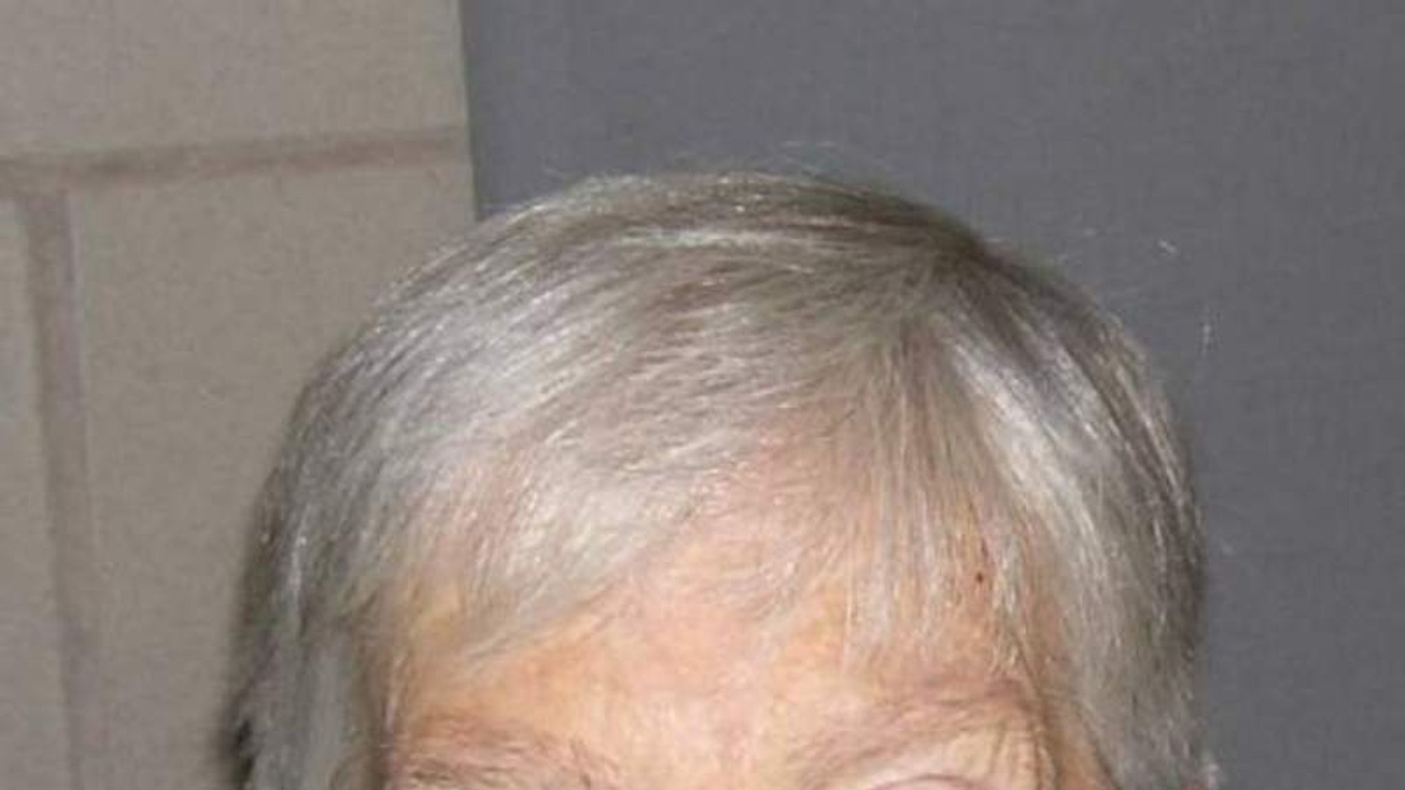 Nun, 83, Guilty Of Vandalism At Nuclear Site | US News | Sky News